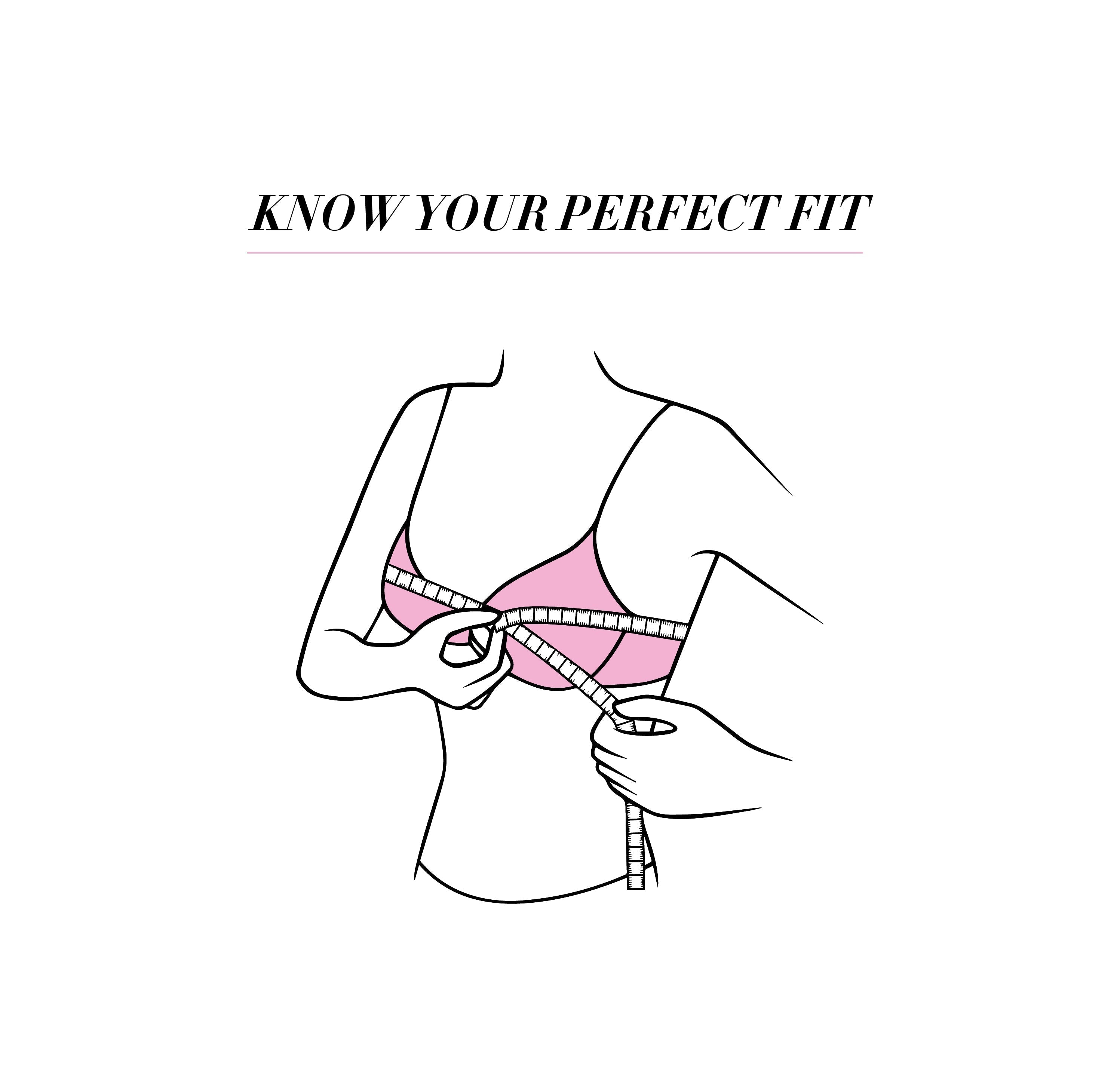 What is ABCD in Bra Size? | amanté